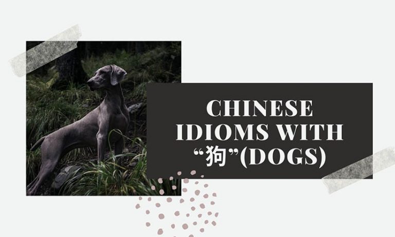 Chinese Idioms with Dogs | That's Mandarin
