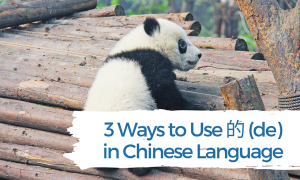3 Ways to Use 的 (de) in Chinese Language | That's Mandarin