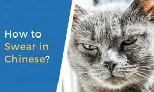 How to Swear in Chinese? | Top 3 Swear Words | That's Mandarin