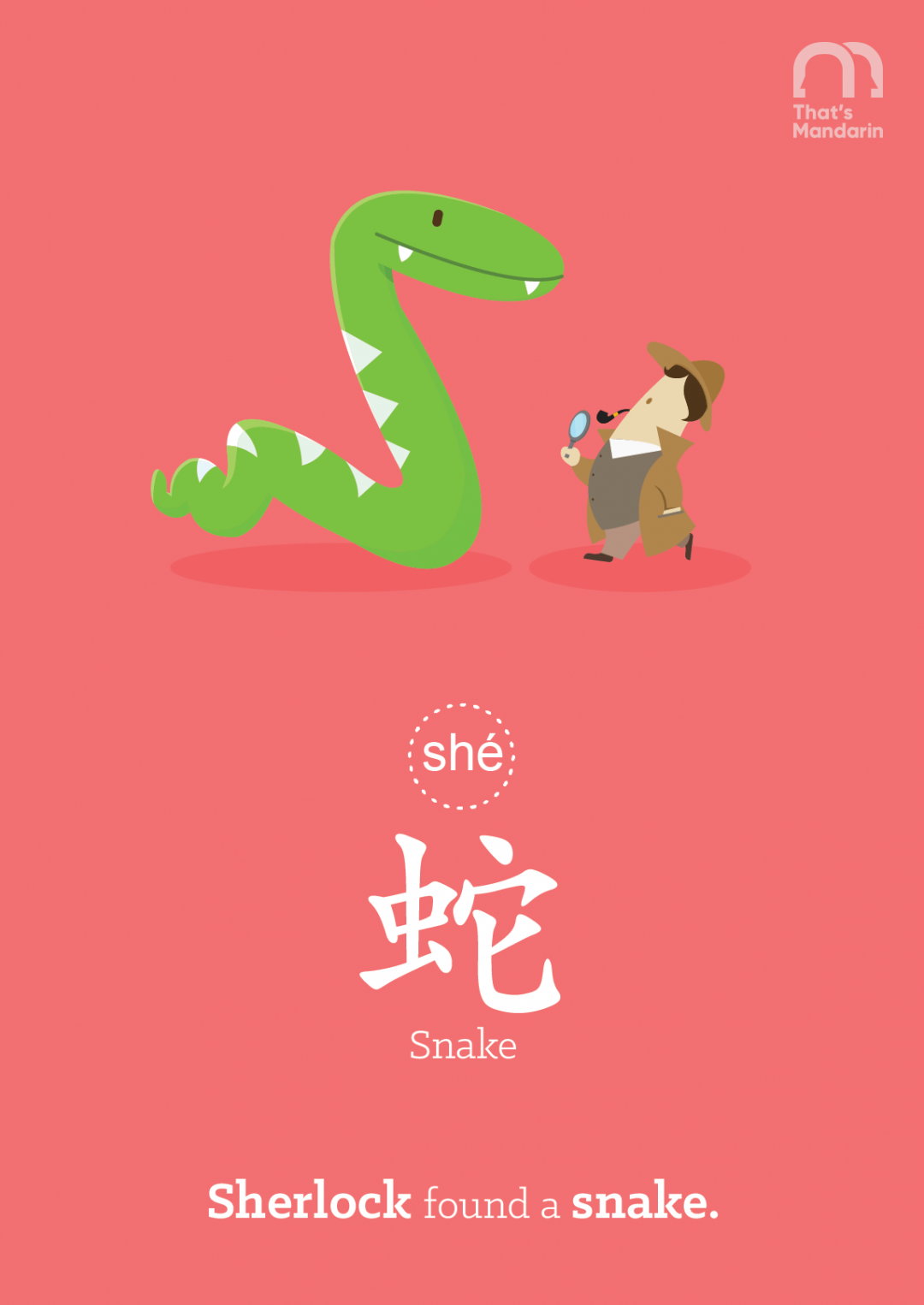 Link Words: The 12 Chinese Animal Zodiacs | That's Mandarin