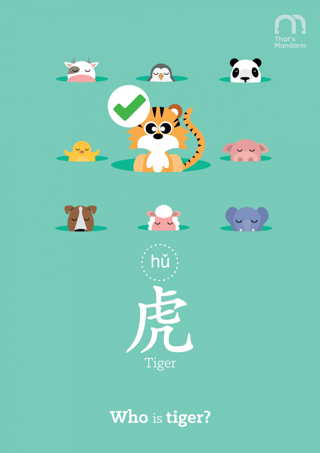 Link Words: The 12 Chinese Animal Zodiacs | That's Mandarin